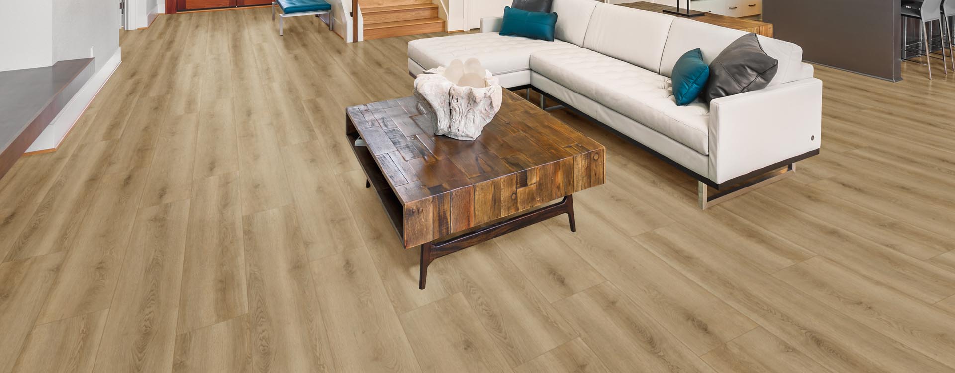 Century Oak – United States of America