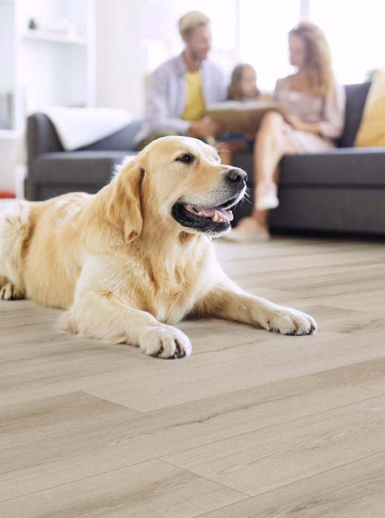 The Strongest Waterproof Flooring - United States of America